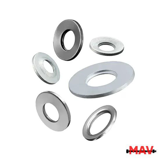 Saiba conica elastica | MAV
